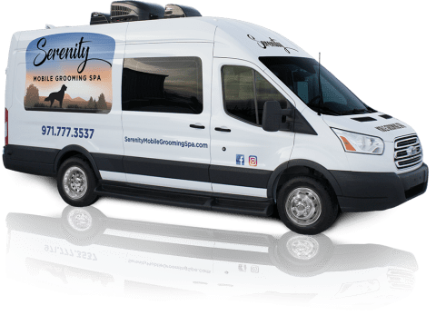 Serenity Mobile Pet Spa | Where your pet is the star!
